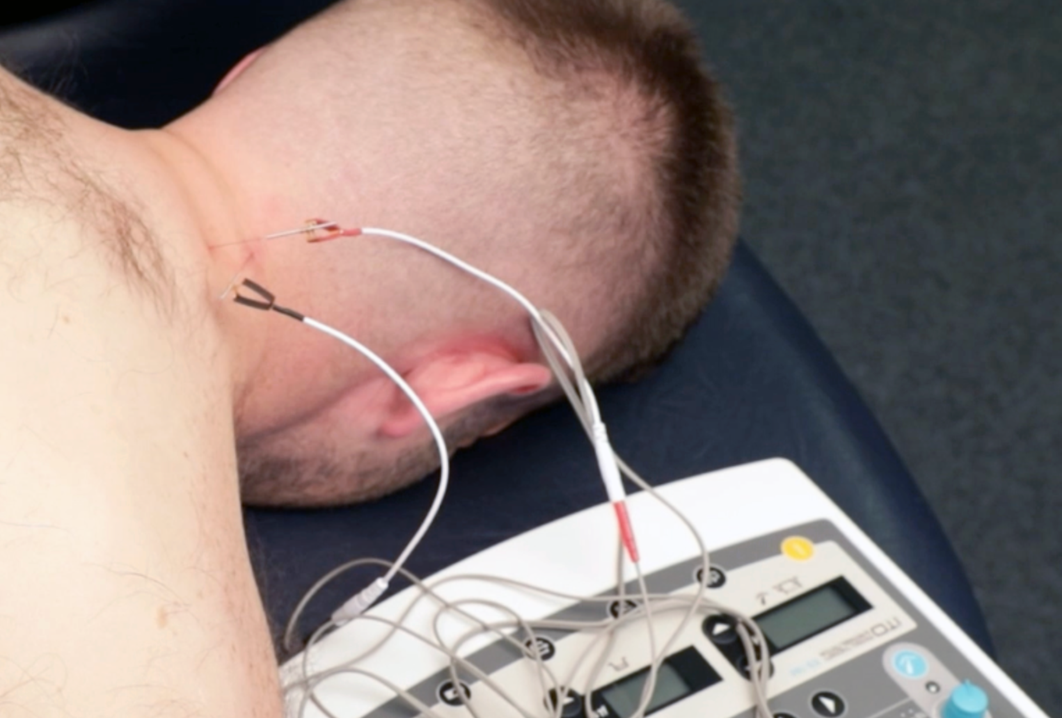 Upcoming courses - Myopain Seminars